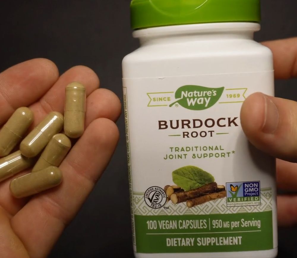 Herbal Adventure: Reviewing 5 Herbs For Gallbladder Health