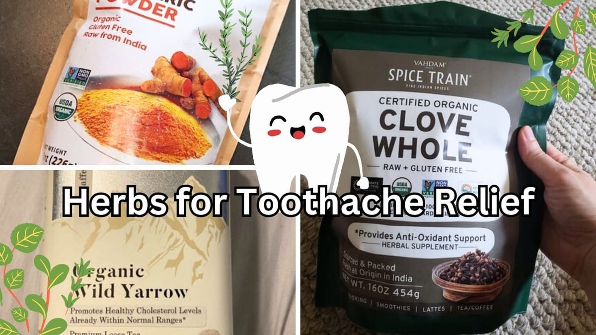 Herbal Rescue: Reviewing 5 Herbs for Toothache Relief