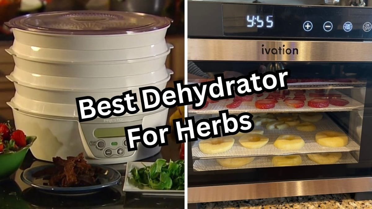 The Best Dehydrator For Herbs: Take Your Culinary Experiences To The ...
