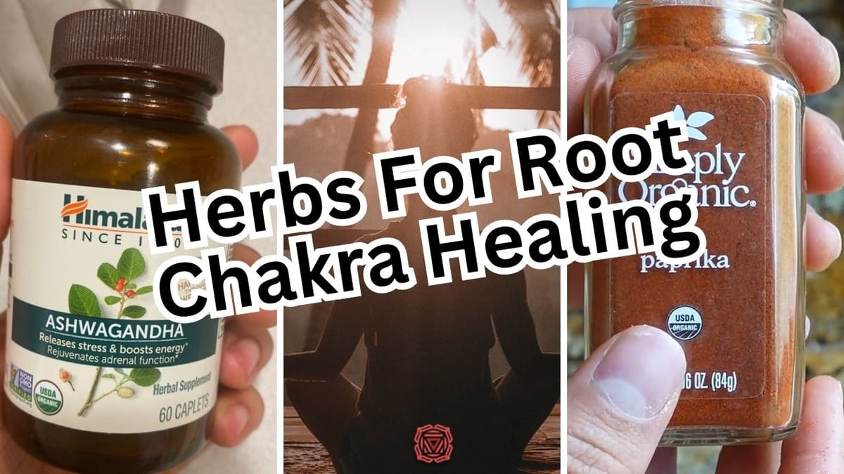 Herbs For Root Chakra Healing: Uncovering the Top 5 For Balance and Calm