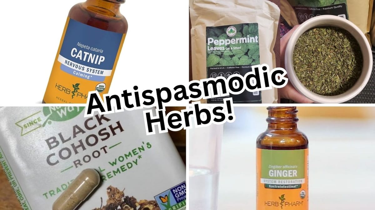 5 Antispasmodic Herbs: Put An End To Cramps and Twitches!